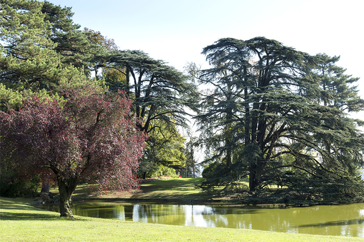 Jardins à la française, jardins à l’anglaise : le jeu des différences